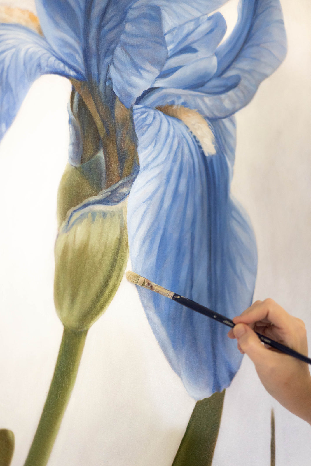 Originals – Amy Crews | Southern Fine Art